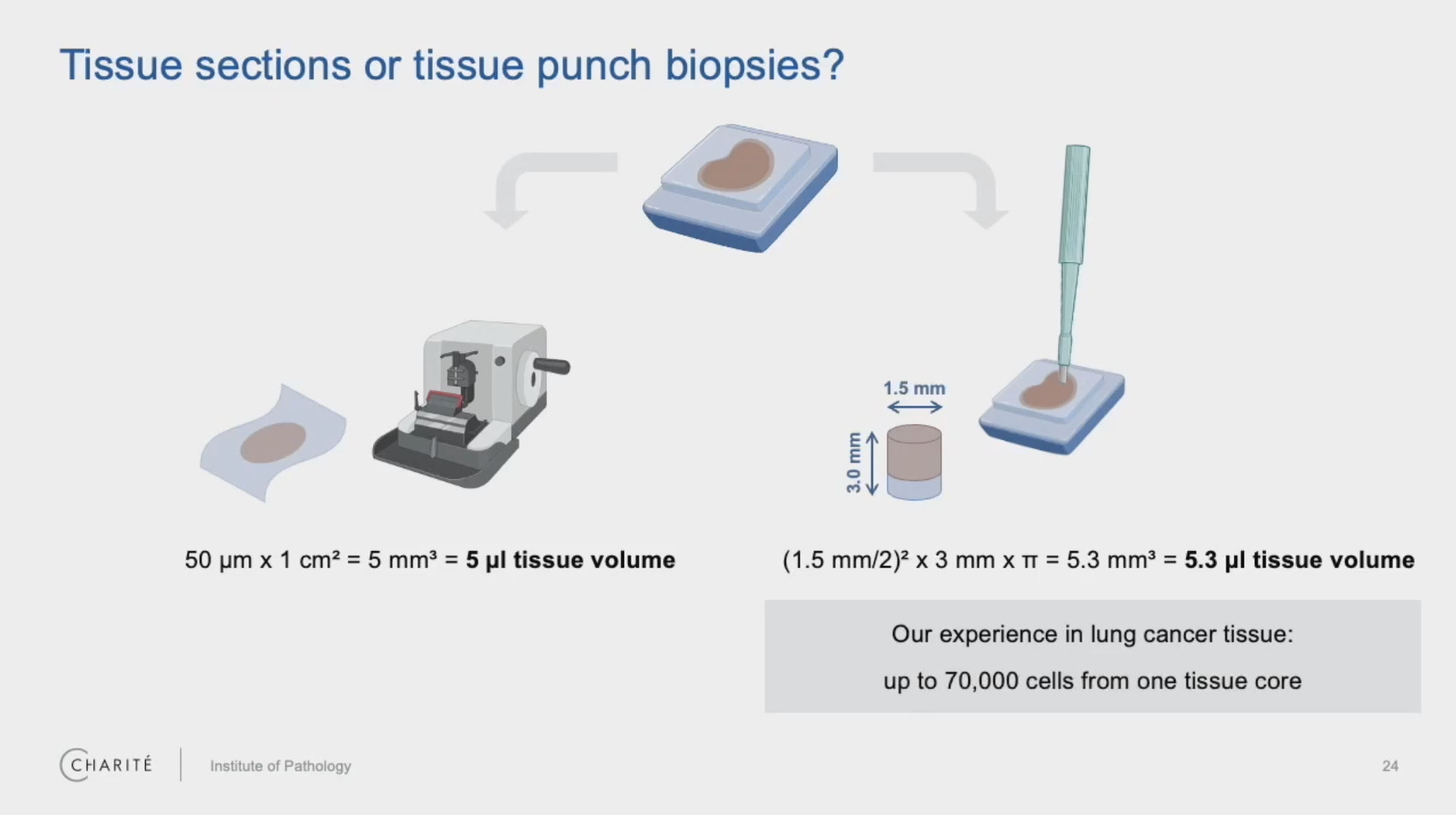 A pathologist’s perspective: Advantages of using FFPE tissues for single cell analysis - 10x ...